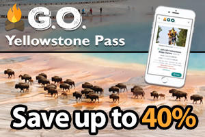 Yellowstone Entrance Fee, National Park Pass / Ticket Cost - AllTrips