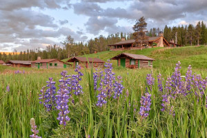 Yellowstone Dude Ranches In Wyoming & Montana - AllTrips