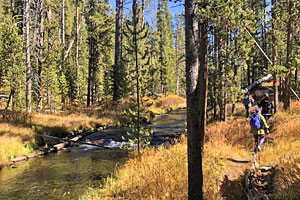 Upper Grand Loop Road in Yellowstone - AllTrips