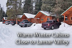 Yellowstone Hotels, National Park Hotel Accommodations - AllTrips