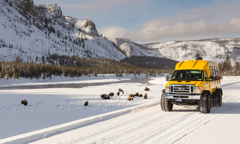 Yellowstone National Park Snow Coach Winter Tours - AllTrips